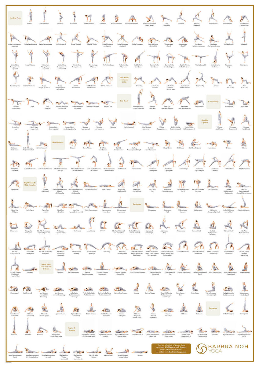 Asana Poster by Barbra Noh - Hand signed by Barbra Noh | YOGISHOP