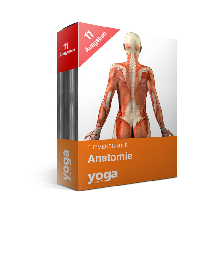 Anatomie - Pack de 11 | YOGISHOP